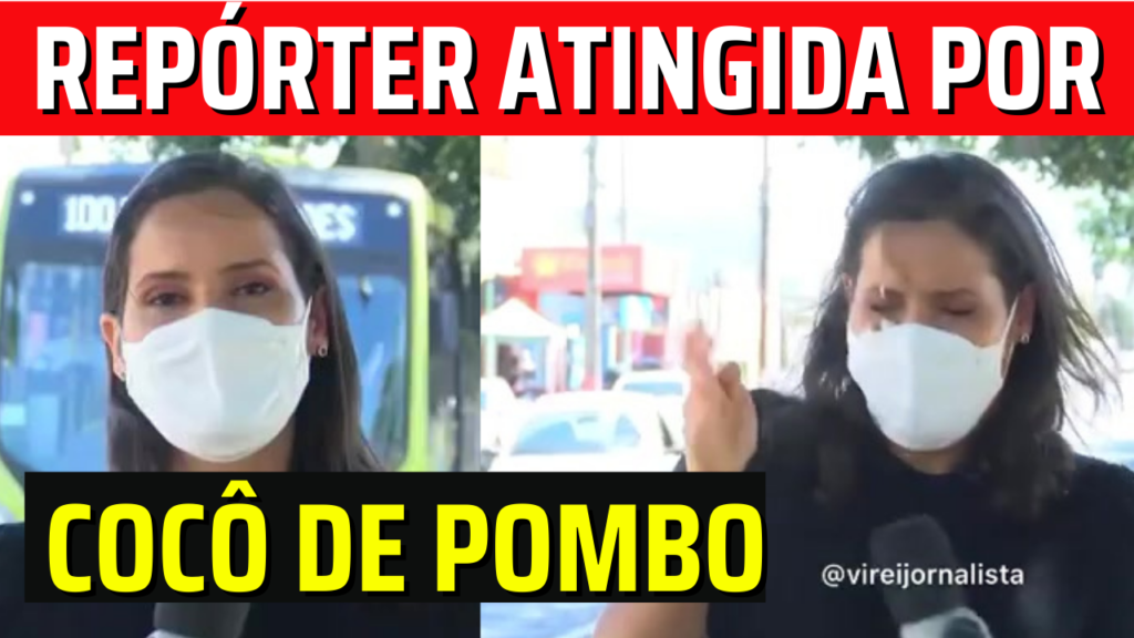 🔴Repórter Da Record é Atingida Por Cocô De Pombo Enquanto Gravava ...